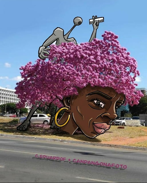 Candango na Foto: conheça projeto que transforma em arte o cotidiano do ...