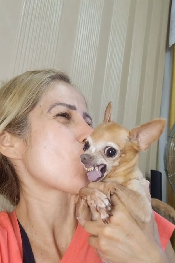 Juju e Pituca: conheça a dupla de pinschers que conquistou a internet ...